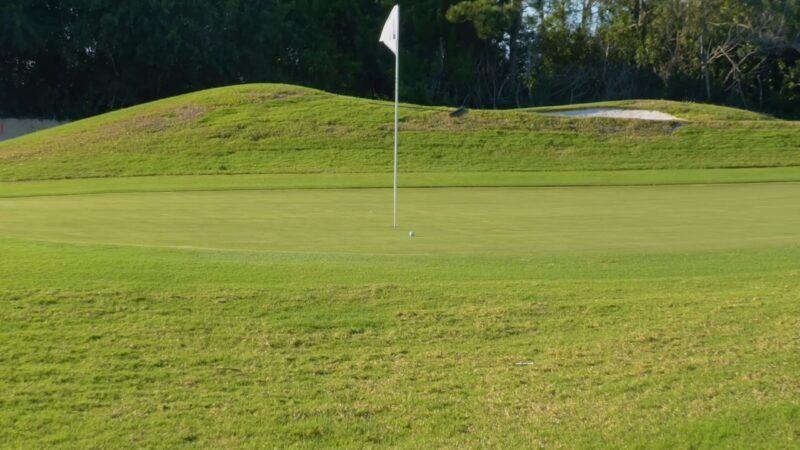 Is Golf Fun? 11 Things That Make It A Super Enjoyable Sport